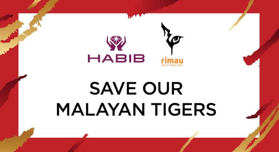 HABIB & RIMAU BERSATU SELAMATKAN HARIMAU MALAYA, AMAZING!
