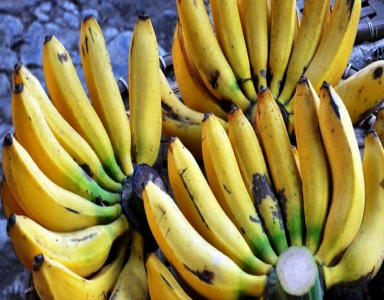 5 JENIS PISANG YANG POPULAR DI MALAYSIA!